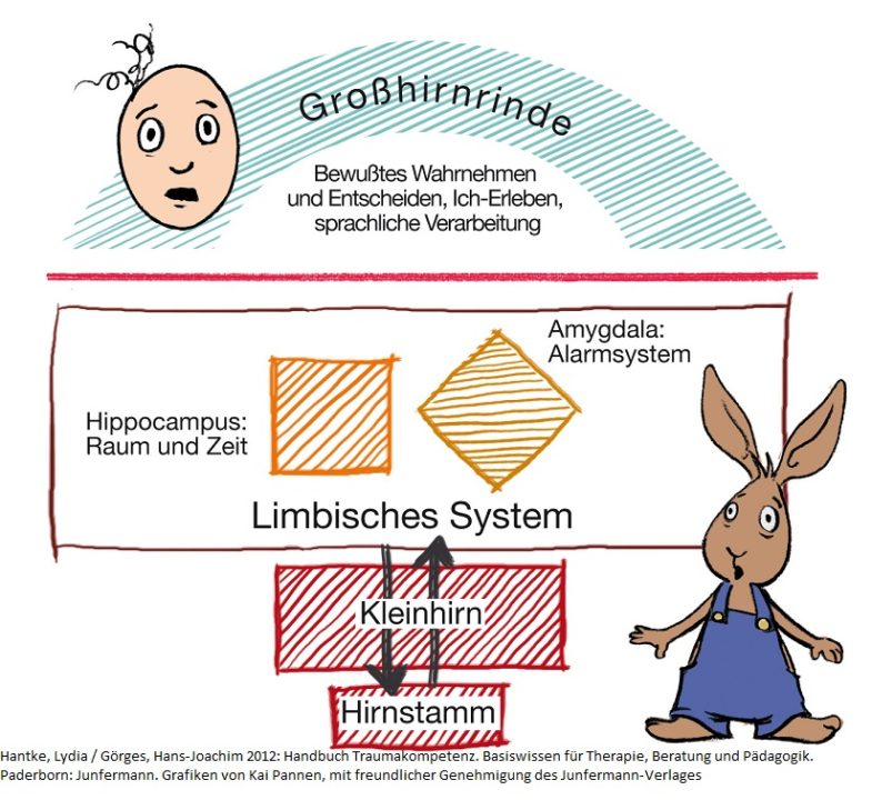 Online-Curriculum Ressourcenorientierte Traumapädagogik ...